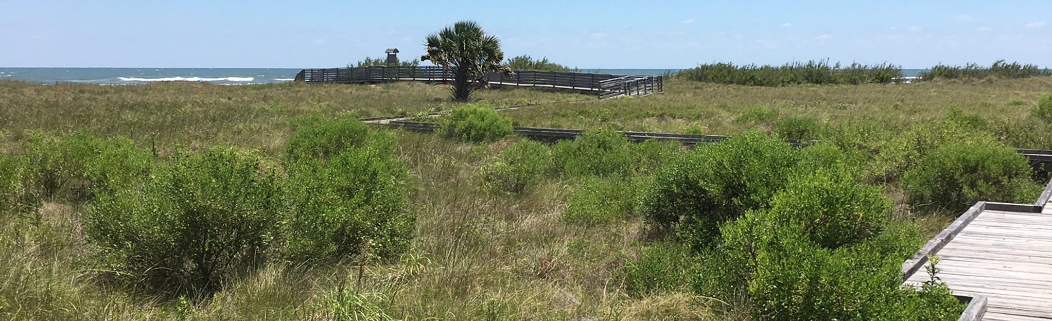 Kelly Hamby Trail, Texas - 32 Reviews, Map | AllTrails