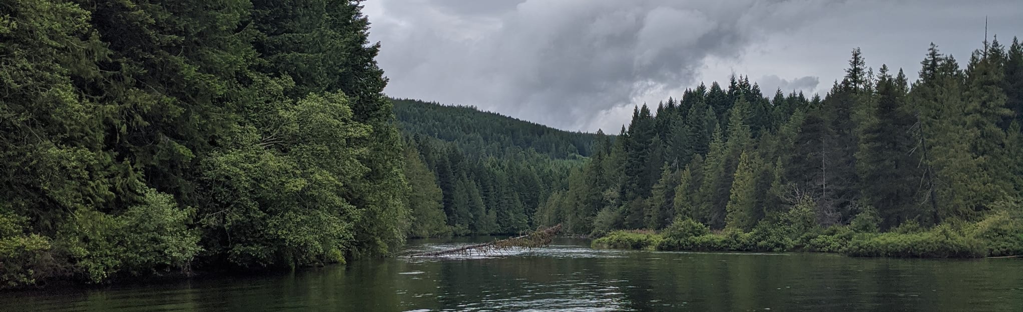 Puntledge River Trail West, British Columbia, Canada - 91 Reviews, Map ...