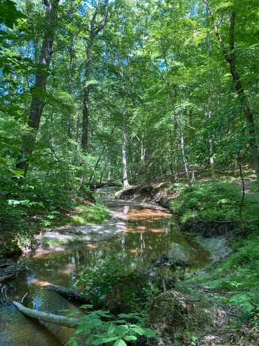 Best Hikes and Trails in Chaptico Park | AllTrails