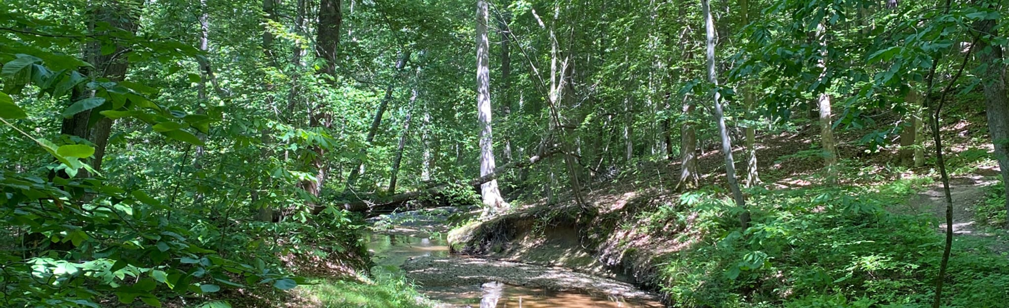 Chaptico Park Nature Trail | Mappa, Guida - Maryland | AllTrails