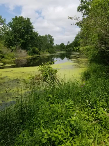 10 Best Trails and Hikes in Appleton | AllTrails