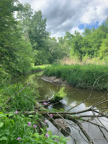 10 Best Trails and Hikes in Rochester | AllTrails