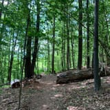 Tam Sidewinder to Chipman Hill Summit, Vermont - 52 Reviews, Map ...