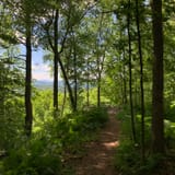 Tam Sidewinder to Chipman Hill Summit, Vermont - 52 Reviews, Map ...