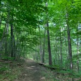 Tam Sidewinder to Chipman Hill Summit, Vermont - 52 Reviews, Map ...
