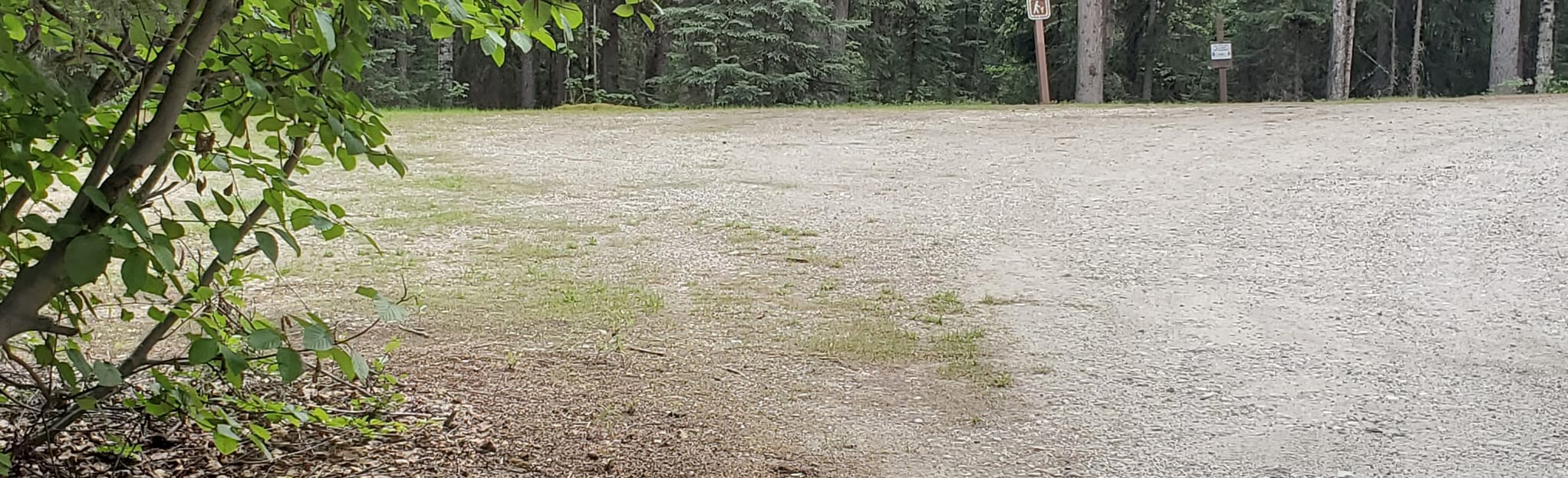 Harding Lake Rec Area Trail 4, Alaska - 9 Reviews, Map | AllTrails