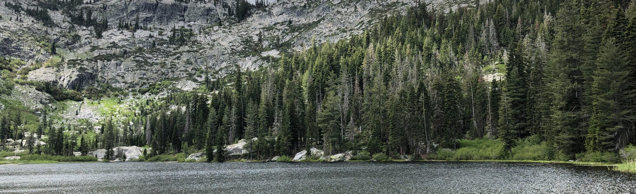 Tangle Blue Lake Trail: 132 Reviews, Map - California | AllTrails