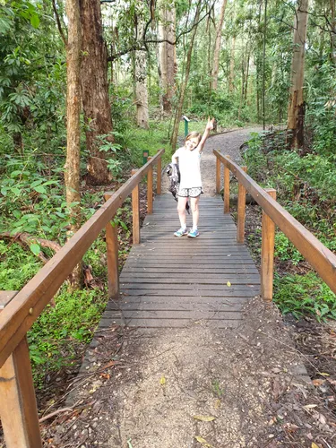 Best Hikes and Trails in Cumberland State Forest | AllTrails