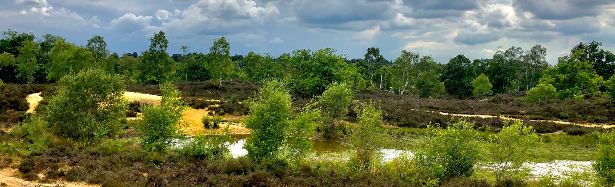 Broxhead Common and Free Piece Circular, Hampshire, England - 9 Reviews ...