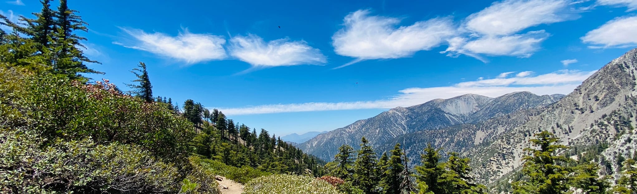 Kelly Camp via Ice House Canyon Trail: 313 Reviews, Map - California ...