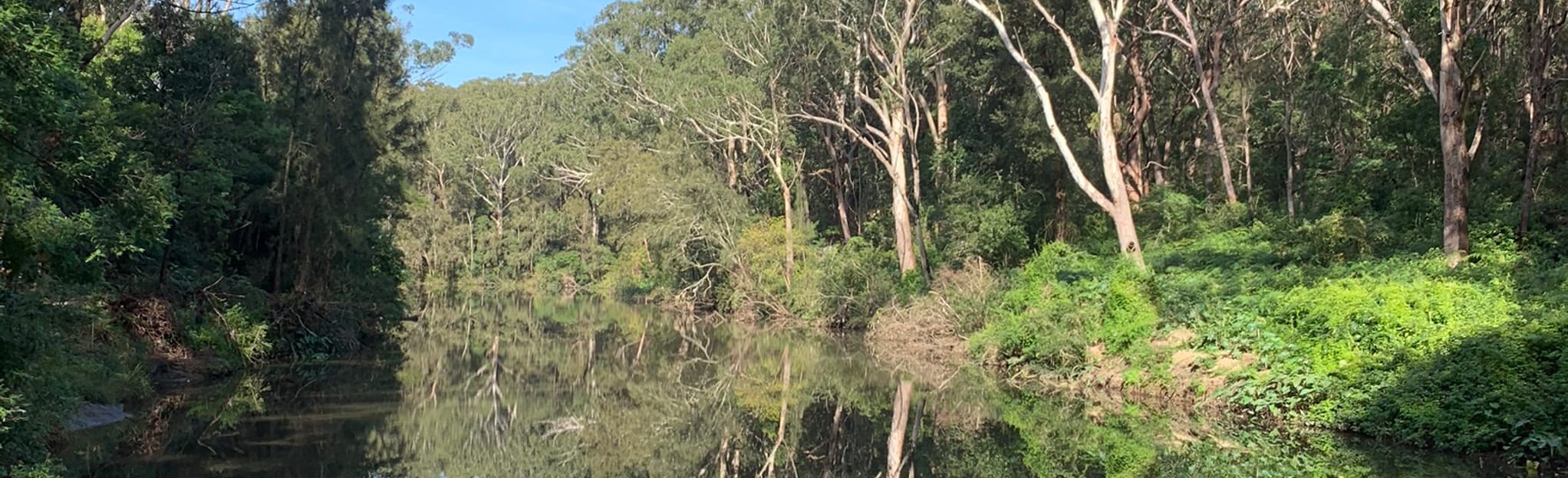 Lane Cove River Paddle: Blackbutt to Blue Hole: 18 Reviews, Map - New ...