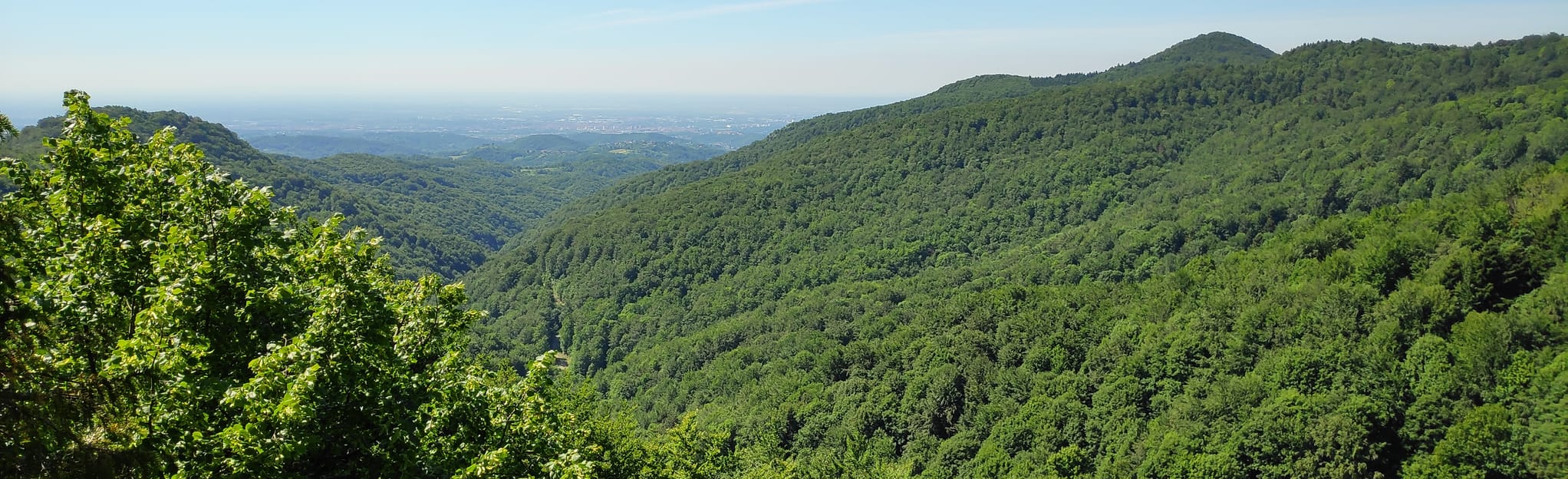 Vidovec - Gorščica - Križna Jelva: 1 Reviews, Map - Zagreb, Croatia ...