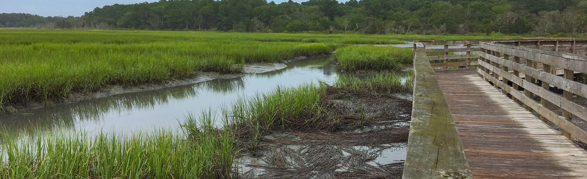 Huntington Beach Marsh Boardwalk, South Carolina - 54 Reviews, Map ...