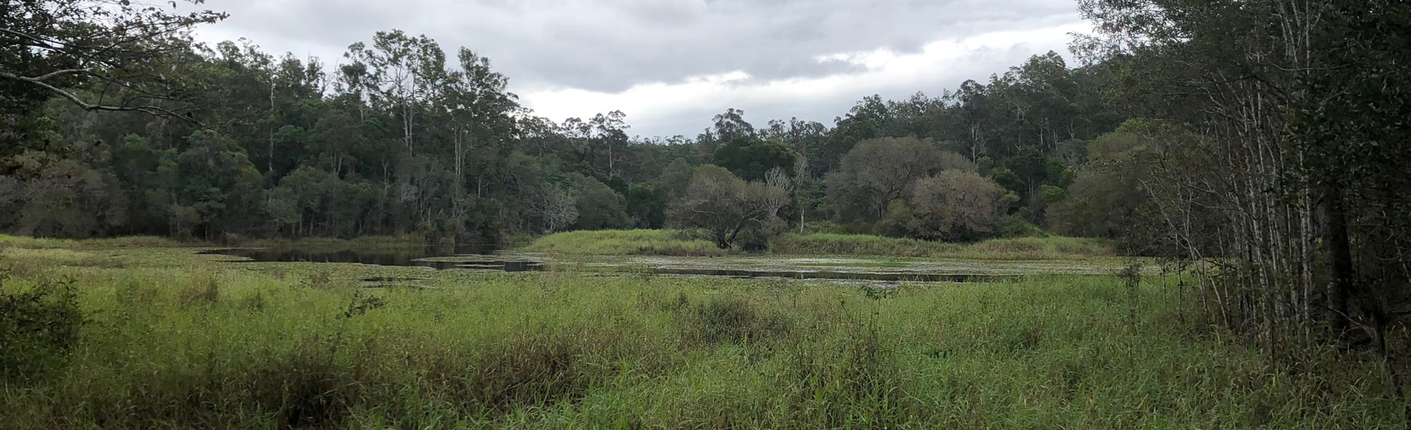 Mount Coot-tha to Enoggera Reservoir Loop: 101 Reviews, Map ...