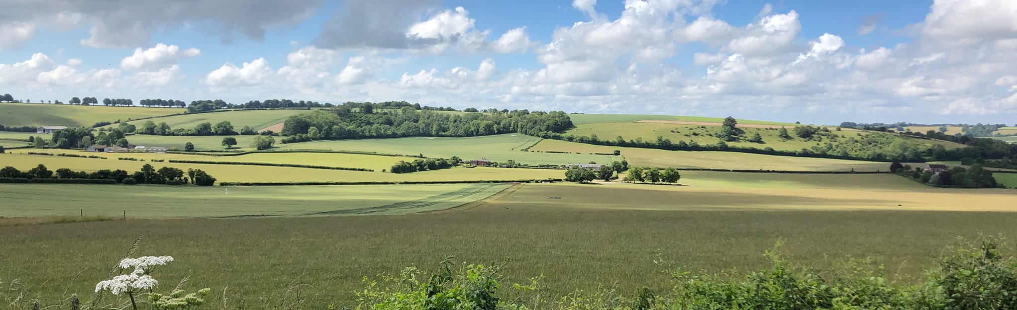 Meon Valley and Old Winchester Hill Circular - Hampshire, England ...