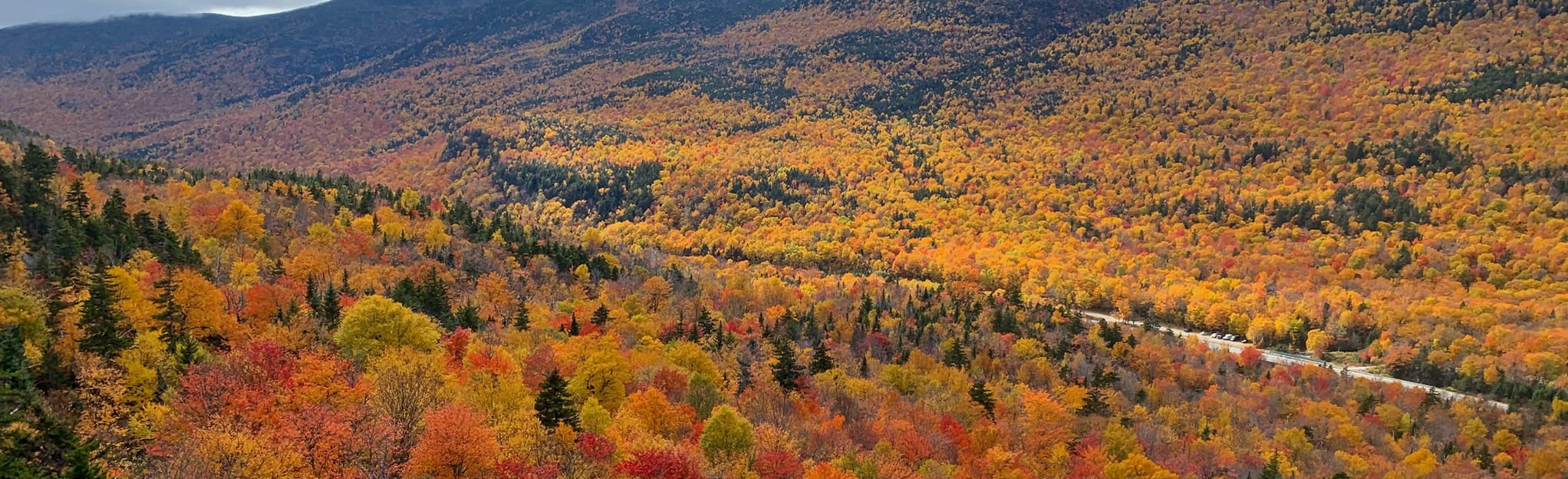 Square Ledge in Pinkham Notch, New Hampshire - 440 Reviews, Map | AllTrails