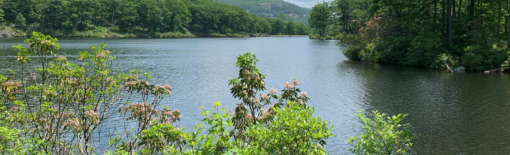 AllTrails | Turkey Hill Pond and Queensborough Lake: 104 Reviews, Map ...