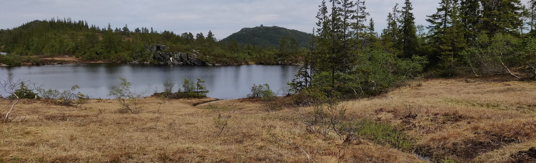 Grønlia - Storheia : 37 Photos - Trøndelag, Norvège | Randonnée | AllTrails