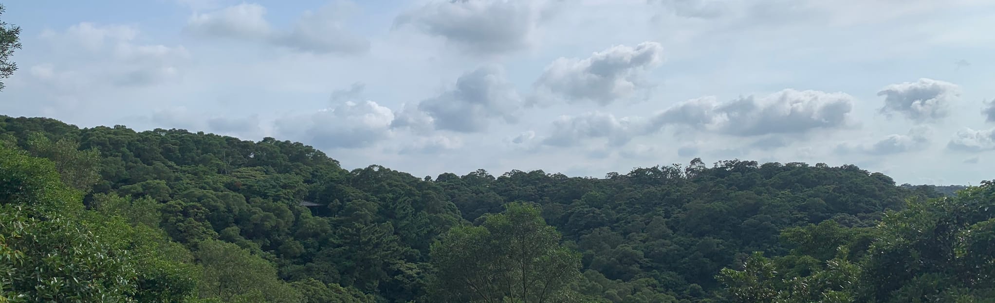 Linkou Forest Trail Loop: 1 Reviews, Map - New Taipei City, Taiwan ...