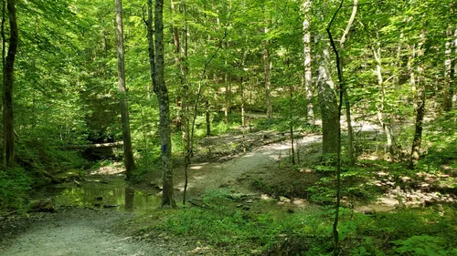 Best Horseback Riding Trails in Mammoth Cave National Park | AllTrails