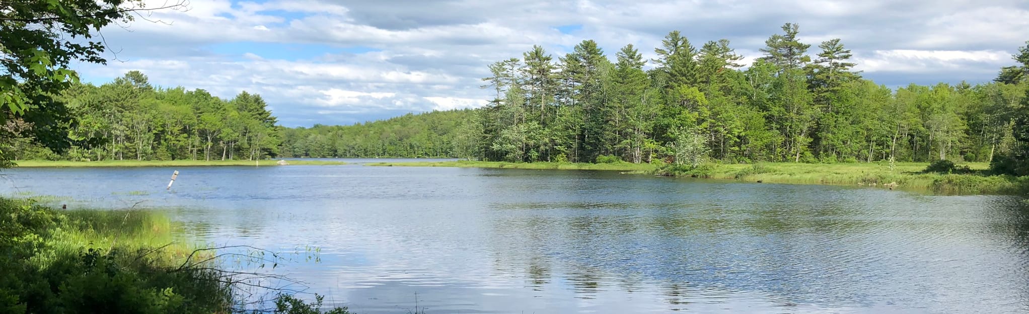 Dresden Bog, Maine - 14 Reviews, Map | AllTrails