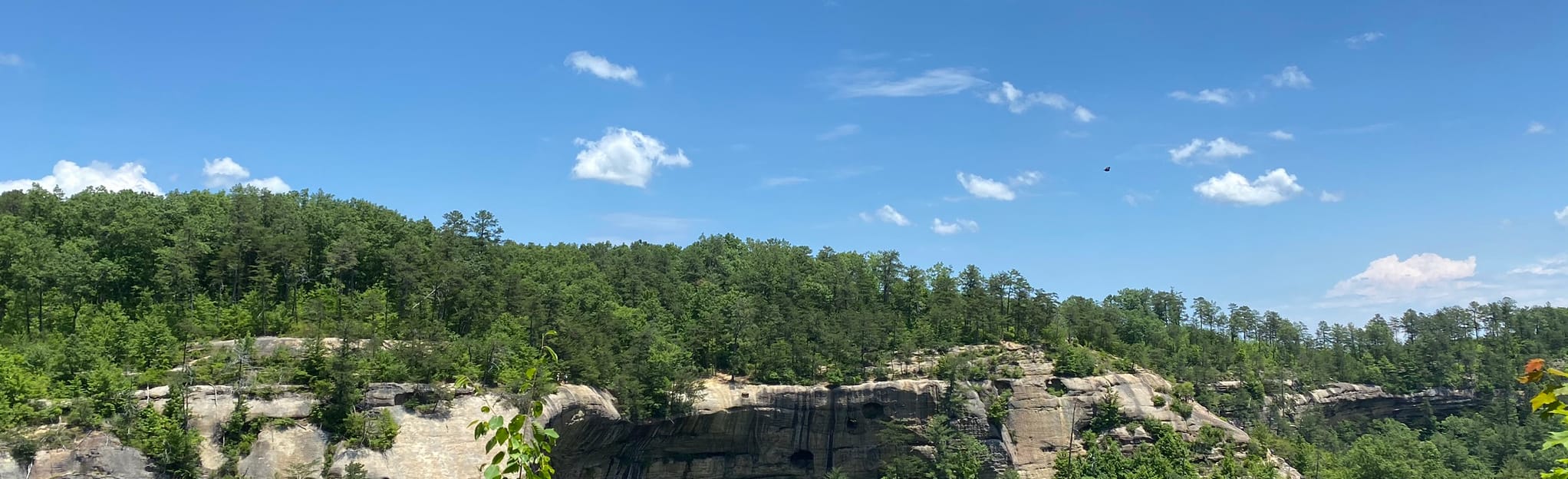 Indian Staircase Alternate Loop, Kentucky - 184 Reviews, Map | AllTrails
