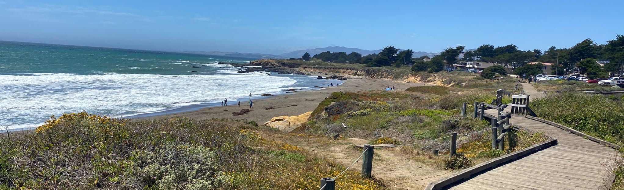 Moonstone Beach Trail: 263 Reviews, Map - California | AllTrails
