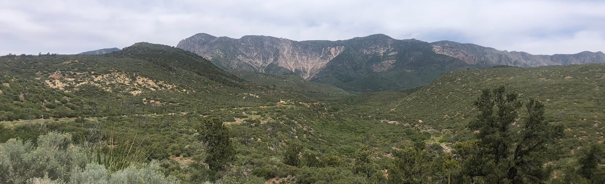 Wet Sandy Wash Trail, Utah - 27 Reviews, Map | AllTrails