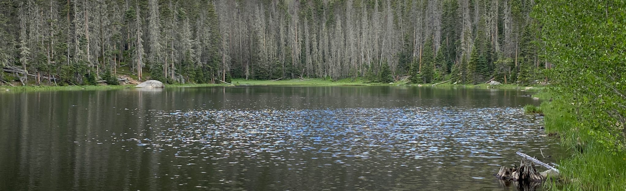 Spirit Lake and Stewart Lake Loop: 13 Reviews, Map - New Mexico | AllTrails