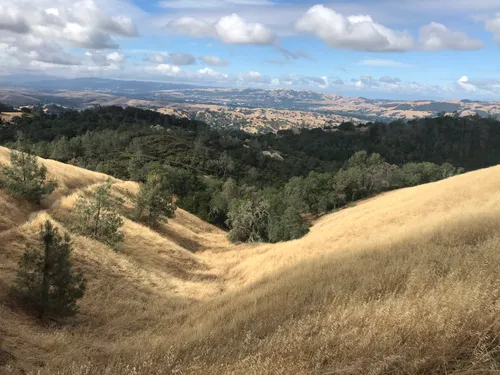 Best Camping Trails in Mount Diablo State Park | AllTrails
