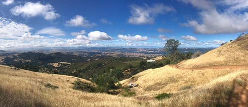 2023 Best 10 Moderate Trails in Mount Diablo State Park | AllTrails