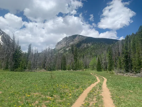 10 Best Trails and Hikes in Silverthorne | AllTrails