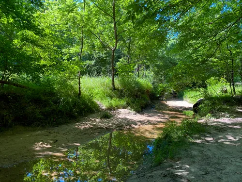 Best Hikes and Trails in High Point | AllTrails
