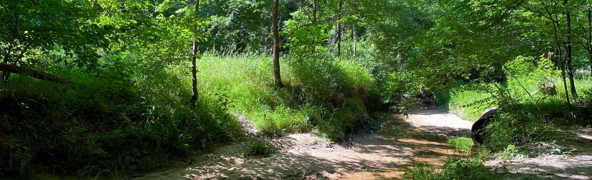 Conner Nature Trail, North Carolina - 76 Reviews, Map | AllTrails