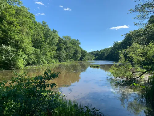 10 Best Hikes and Trails in Watchung Reservation | AllTrails