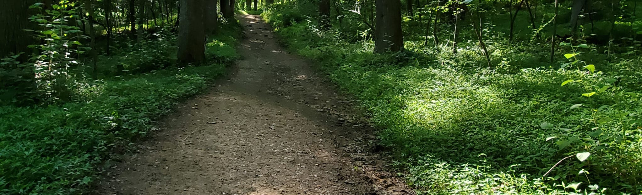 Plantation Trail Loop, Maryland - 314 Reviews, Map | AllTrails