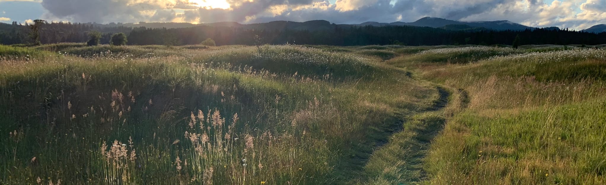 Mima Mounds Trail, Washington - 407 Reviews, Map | AllTrails