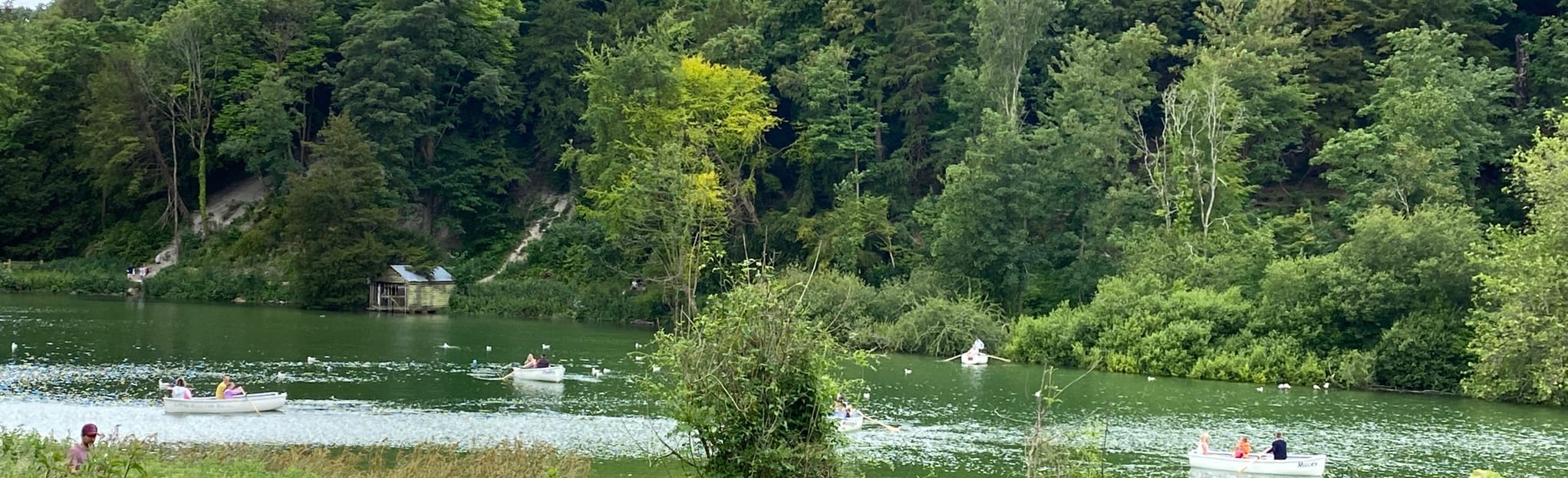 Swanbourne Lake Circular, West Sussex, England - 80 Reviews, Map ...