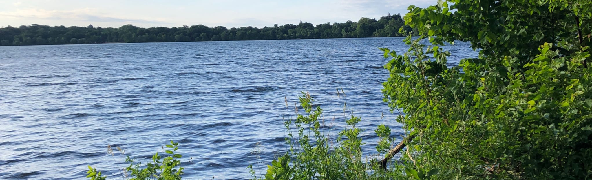 Lake Harriet Loop Trail, Minnesota - 1,012 Reviews, Map | AllTrails