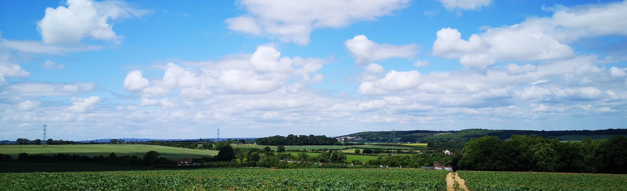 Fawkham, Kent, England - 34 Reviews, Map | AllTrails