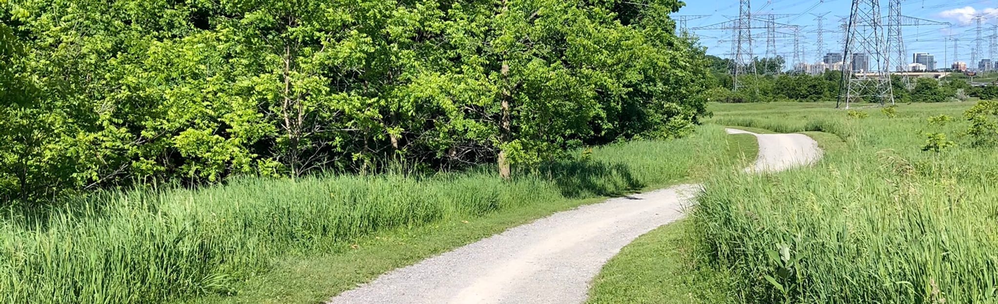 Valley View Park, Ontario, Canada - 169 Reviews, Map | AllTrails