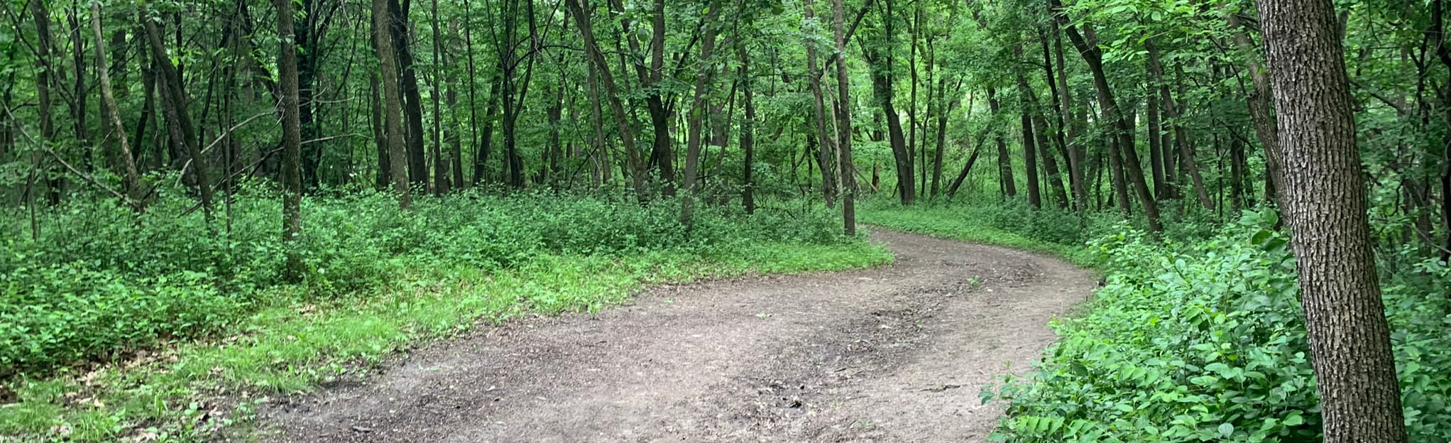 Hyland Lake, Oak Knob, North, and CP Rail Trail Loop: 30 Reviews, Map ...