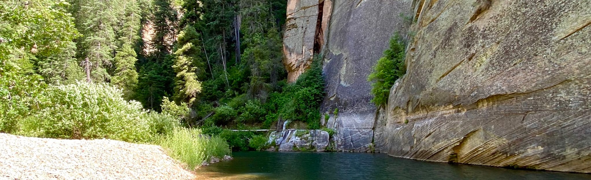 Tramway Trail, Arizona - 51 Reviews, Map | AllTrails