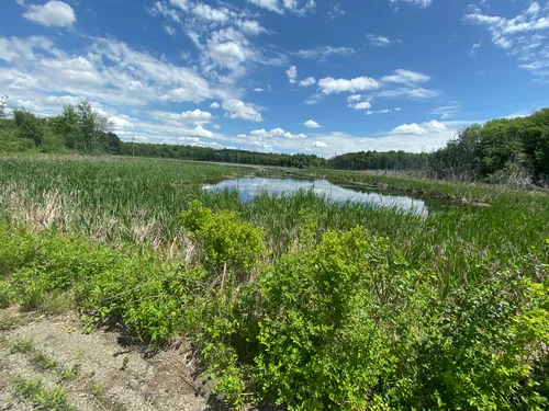 Best Hikes and Trails in High Ridge Wildlife Management Area | AllTrails