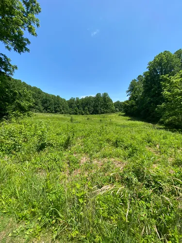 10 Best Hikes and Trails in Cromwell Valley Park | AllTrails