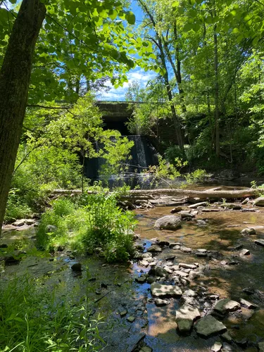 Best Forest Trails in North Rose | AllTrails