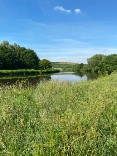 10 Best Trails, Walks, and Paths in Wakefield | AllTrails