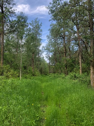 2023 Best 10 Trails and Hikes in St. Albert | AllTrails