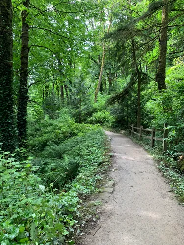 2023 Best 10 Trail Running Trails in Forest Park | AllTrails