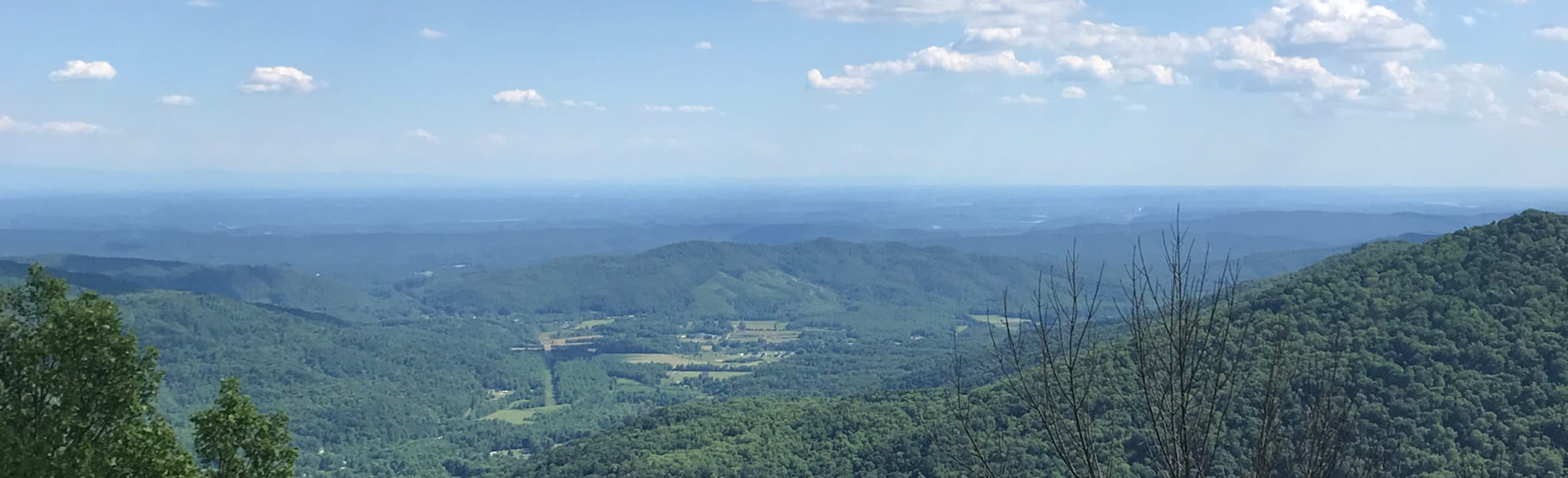 Frozen Head Loop, Tennessee - 44 Reviews, Map | AllTrails